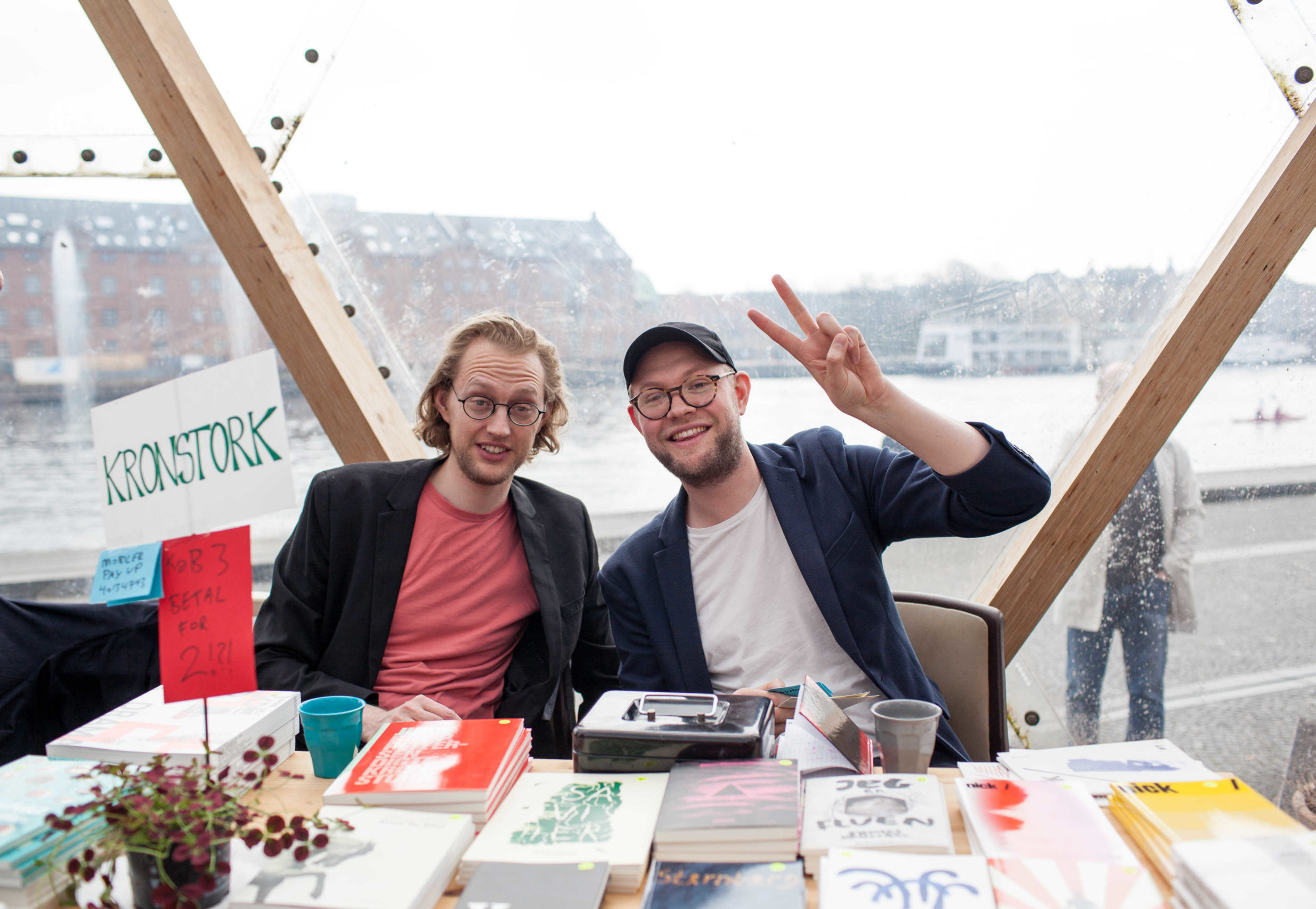 Kronstork ⋆ Mikrofest