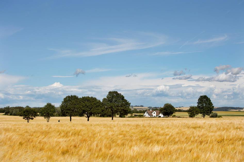 Sweden's official website for tourism and travel information | Visit Sweden