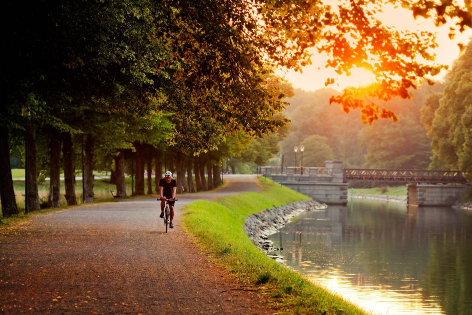 Swedish parks and gardens | Visit Sweden
