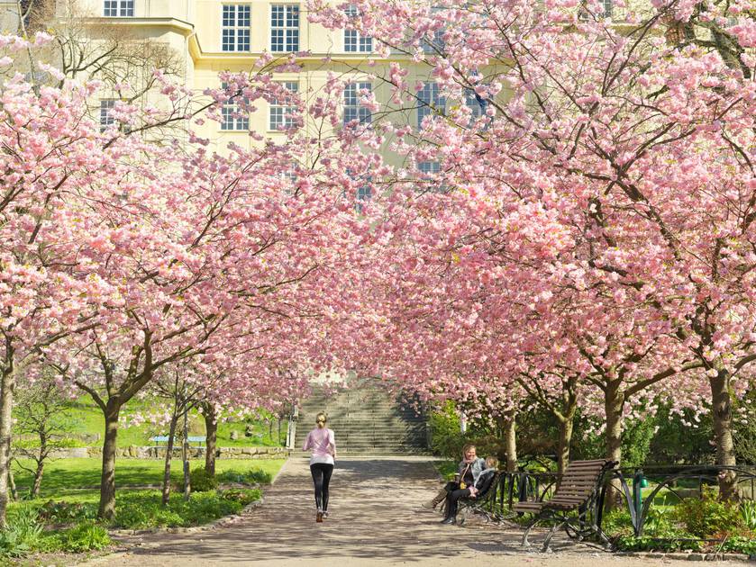 Spring in Sweden | Visit Sweden
